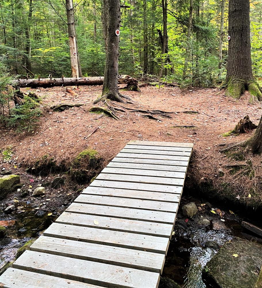 Flood Brook School Trails - Trail Finder
