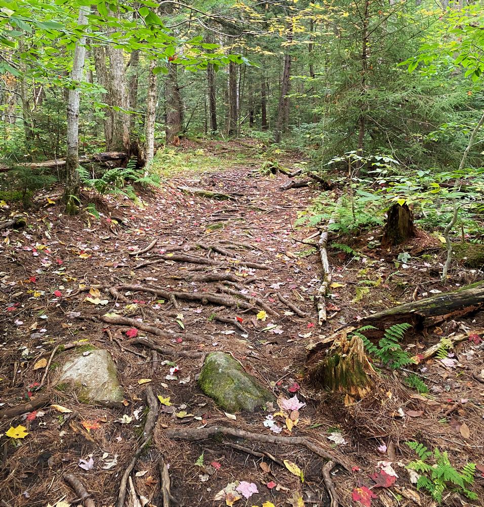 Flood Brook School Trails - Trail Finder