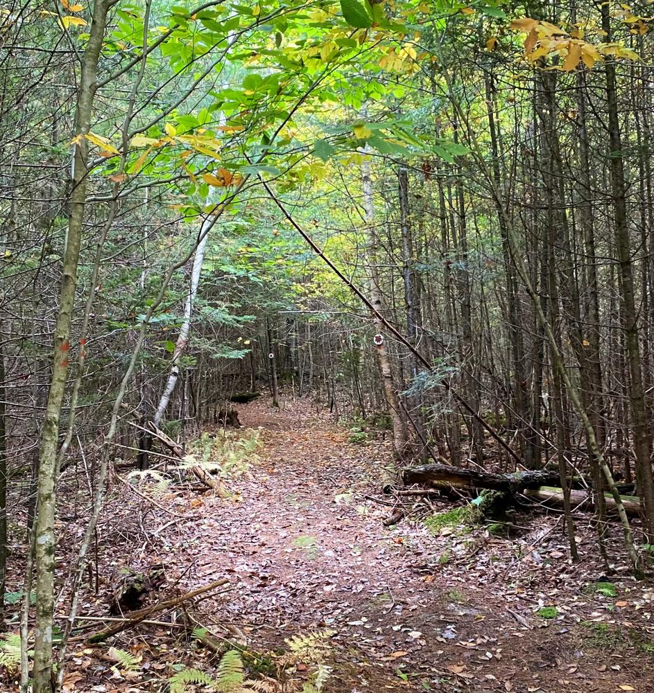 Flood Brook School Trails - Trail Finder