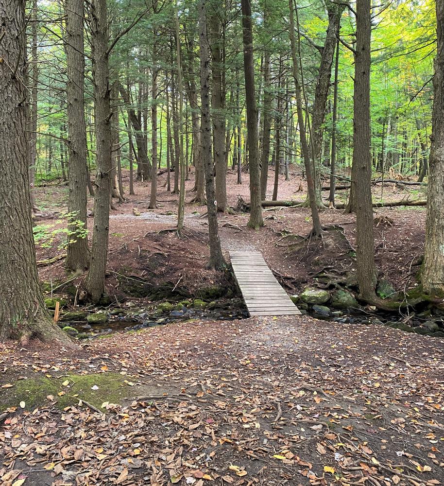 Flood Brook School Trails - Trail Finder