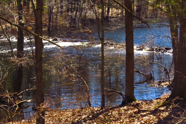 Frye Town Forest - Trail Finder