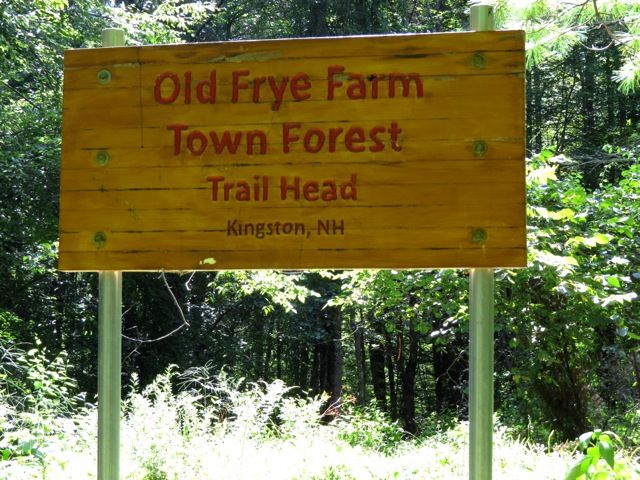 Frye Town Forest - Trail Finder