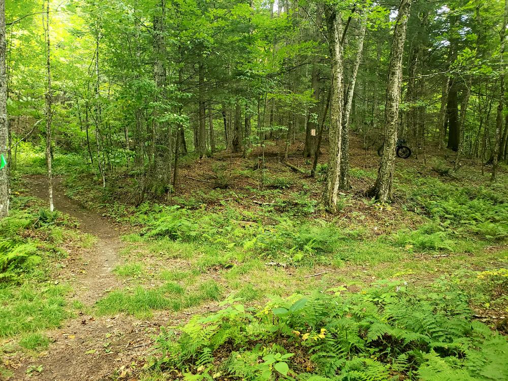 Hardwick Trails - Trail Finder