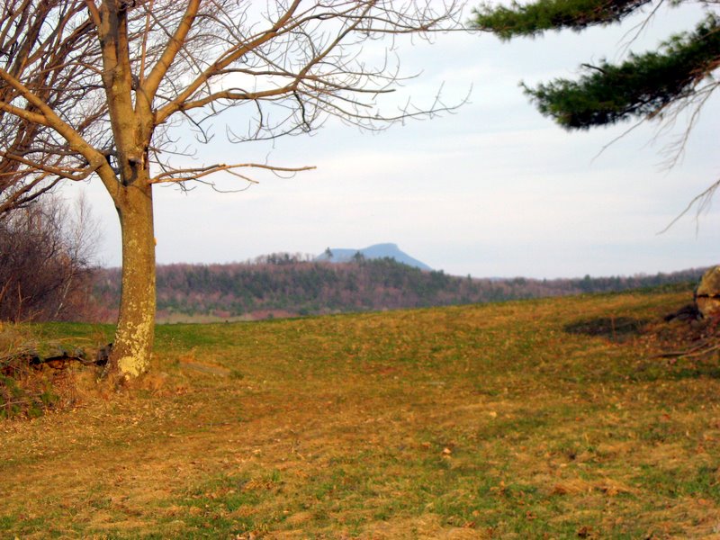 Oak View Hill Trail - Trail Finder