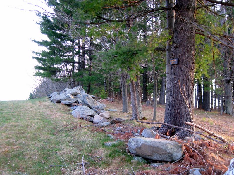 Oak View Hill Trail - Trail Finder