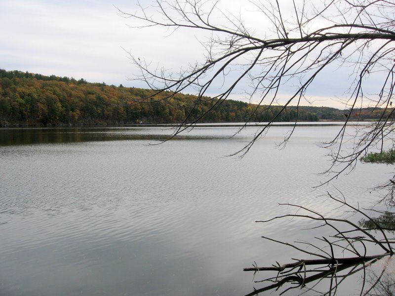 Colchester Pond - Trail Finder