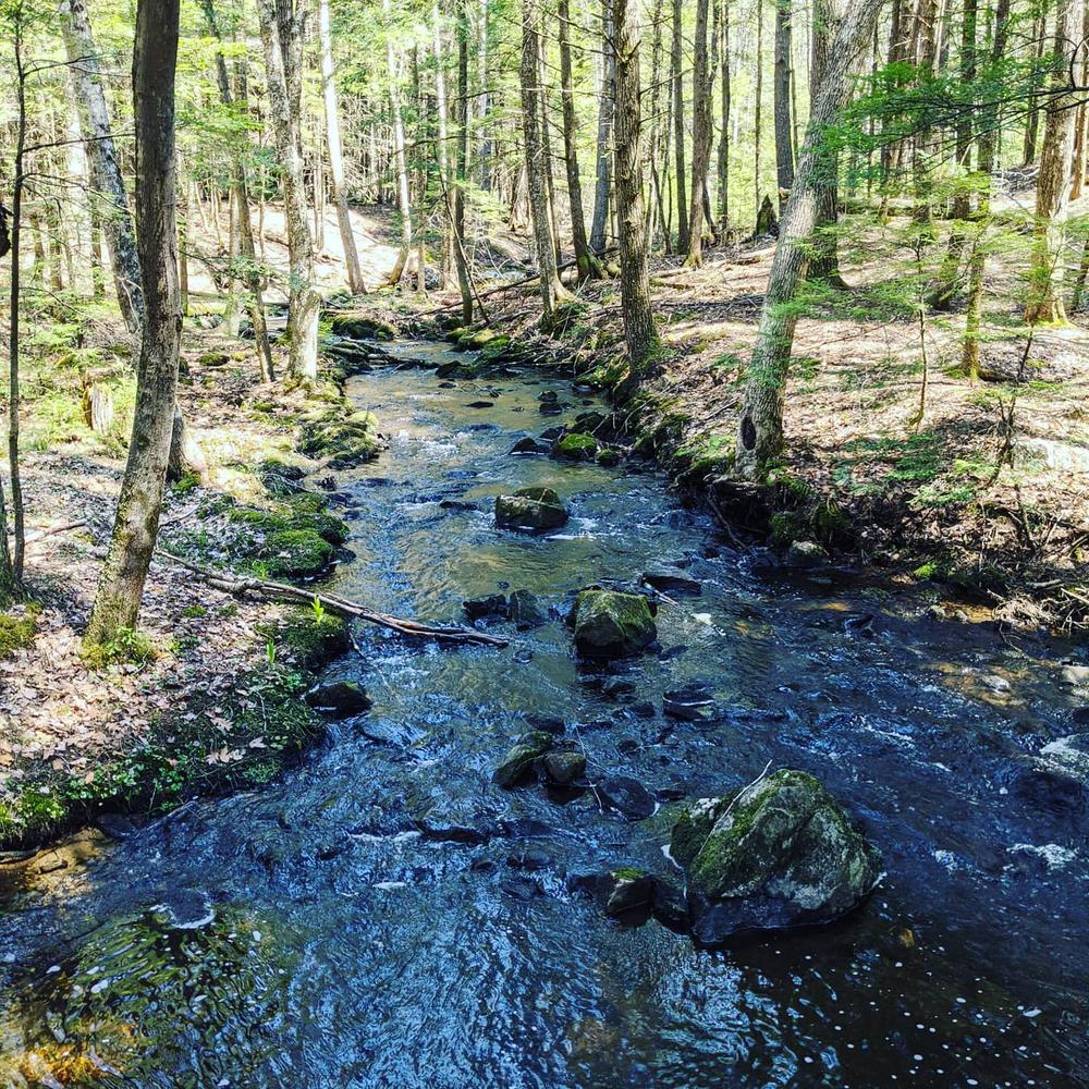 Bachelder Town Forest - Trail Finder