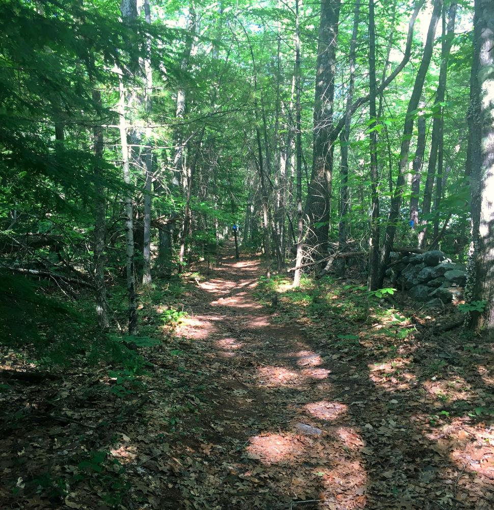 Florence M. Tarr Wildlife Sanctuary - Trail Finder