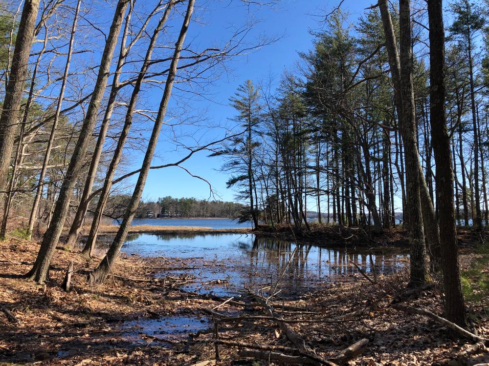 Bellamy River Wildlife Sanctuary - NH Audubon - Trail Finder