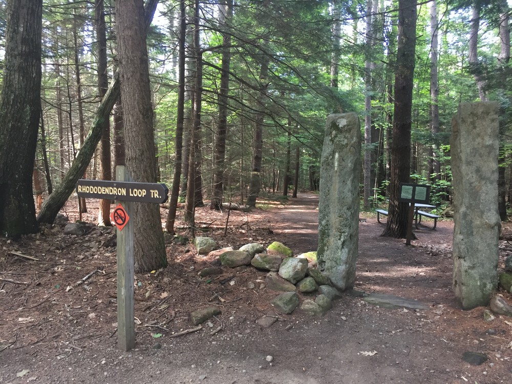 Rhododendron State Park & Little Monadnock Mountain - Trail Finder