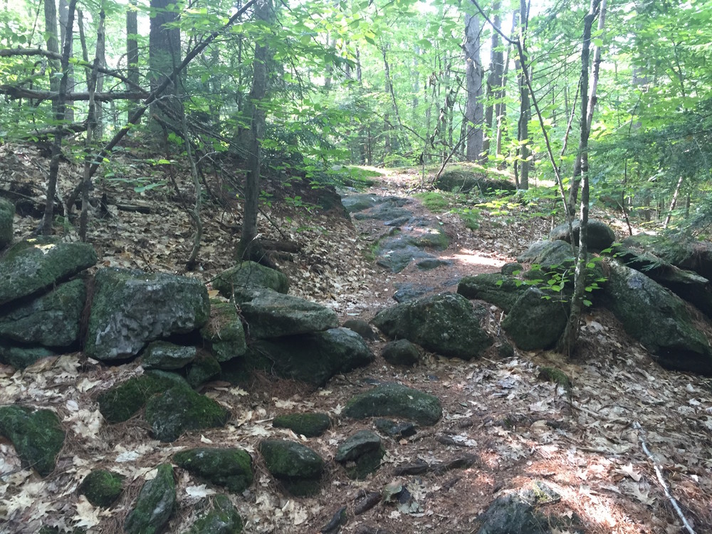 Rhododendron State Park & Little Monadnock Mountain - Trail Finder