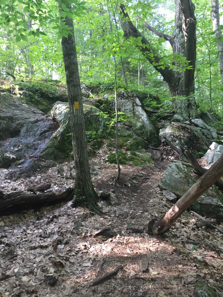 Rhododendron State Park & Little Monadnock Mountain - Trail Finder