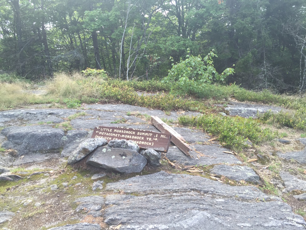 Rhododendron State Park & Little Monadnock Mountain - Trail Finder