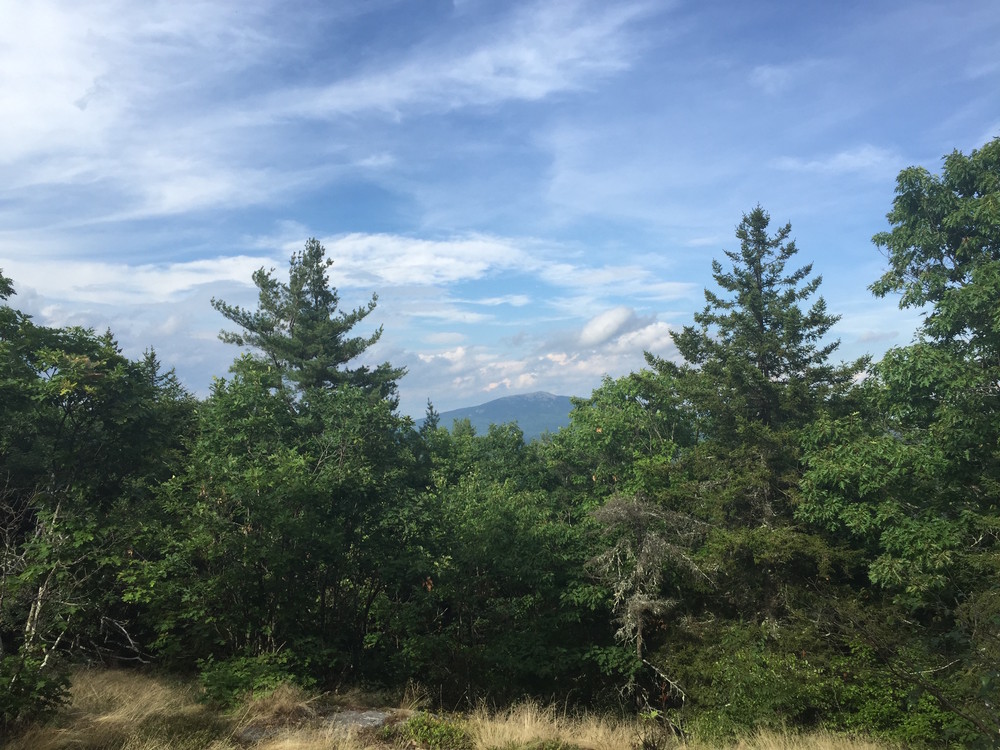 Rhododendron State Park & Little Monadnock Mountain - Trail Finder