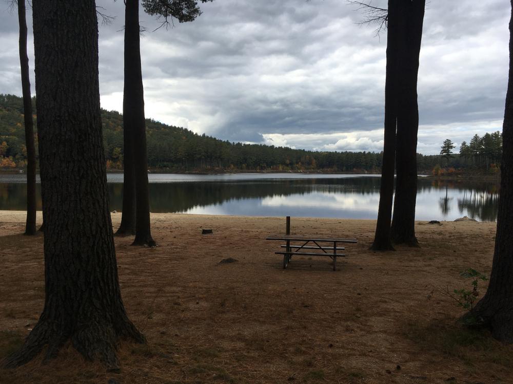 Clough State Park - Trail Finder