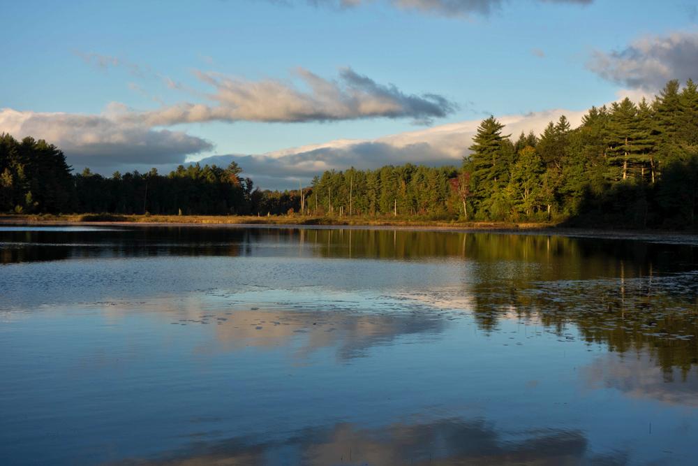 Jackman Pond Wildlife Area - Trail Finder