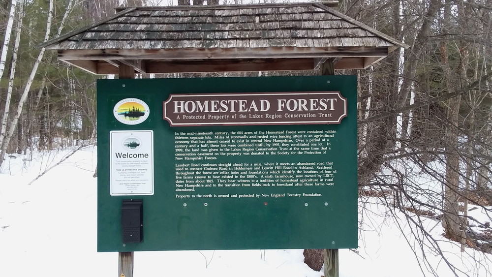 Homestead Forest Conservation Area, Ashland, NH - Trail Finder