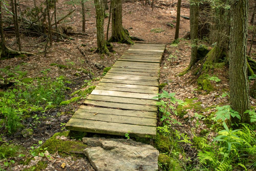 Lee Town Forest - Trail Finder