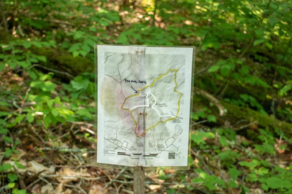 Lee Town Forest - Trail Finder