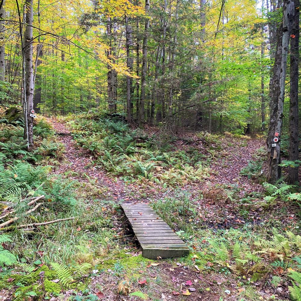 Library Trail - Trail Finder