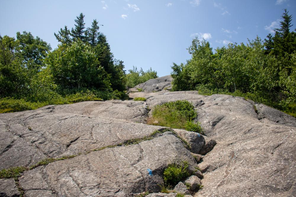 Mount Major - Trail Finder