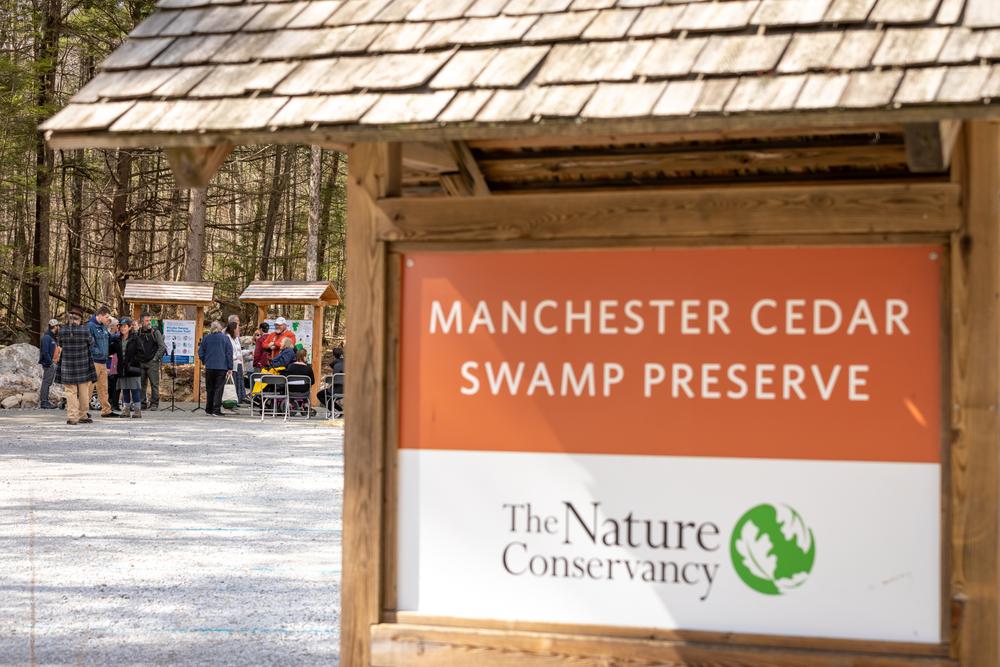 Manchester Cedar Swamp - Trail Finder