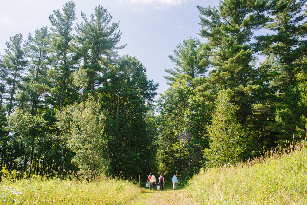 Oyster River Forest and Spruce Hole Conservation Area - Trail Finder