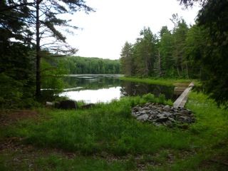 Halls Pond Trail - Trail Finder