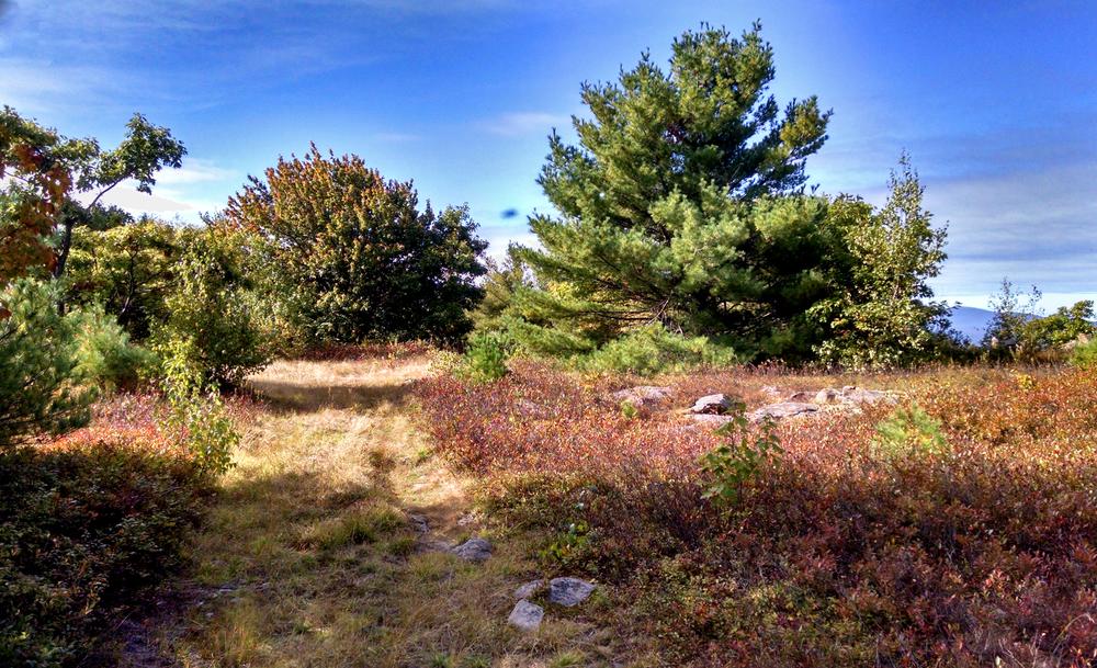 Rose Mountain - Trail Finder