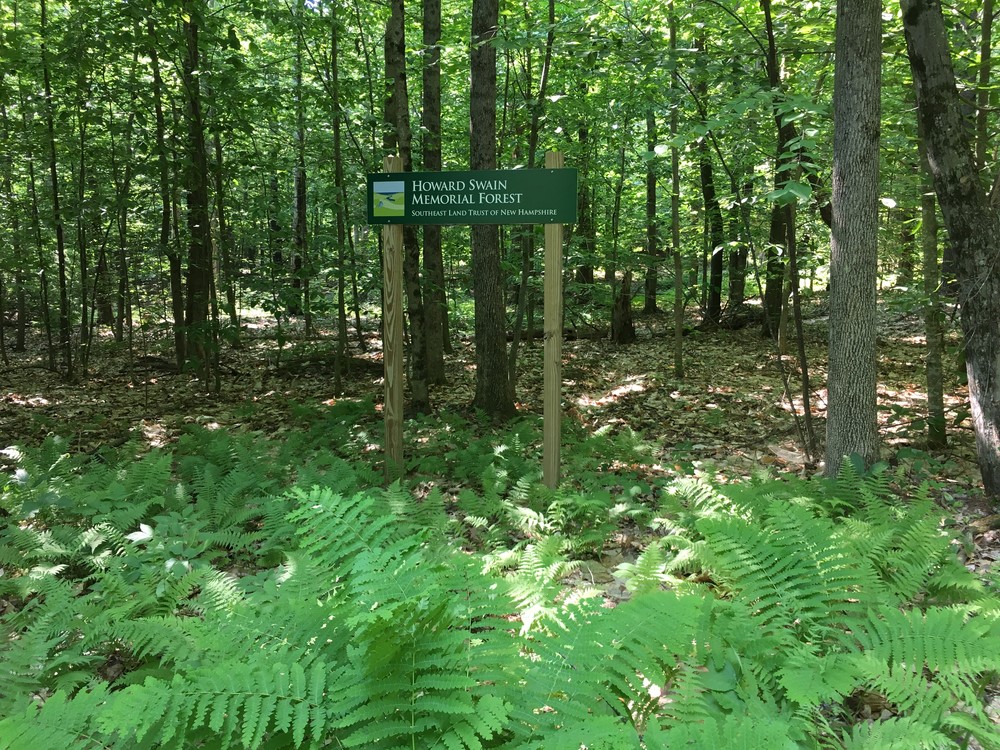 Howard Swain Memorial Forest - Southeast Land Trust of NH - Trail Finder