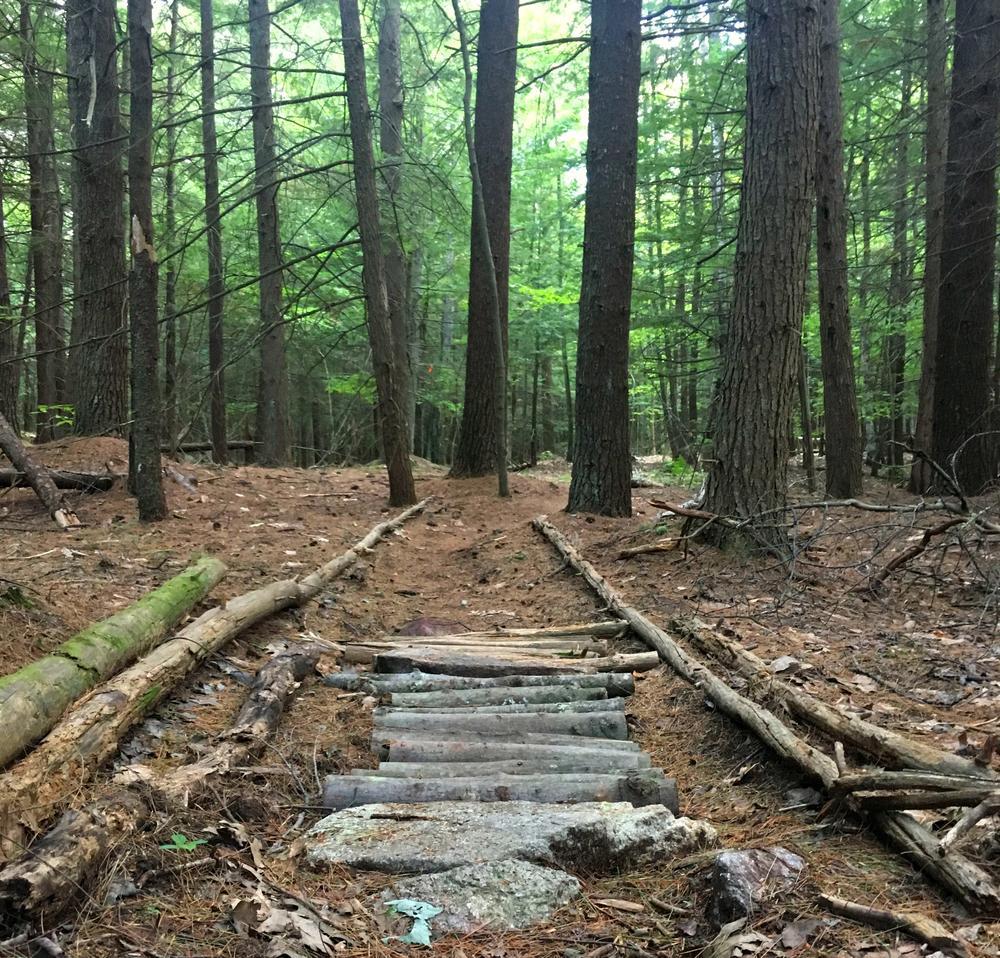 Florence M. Tarr Wildlife Sanctuary - Trail Finder