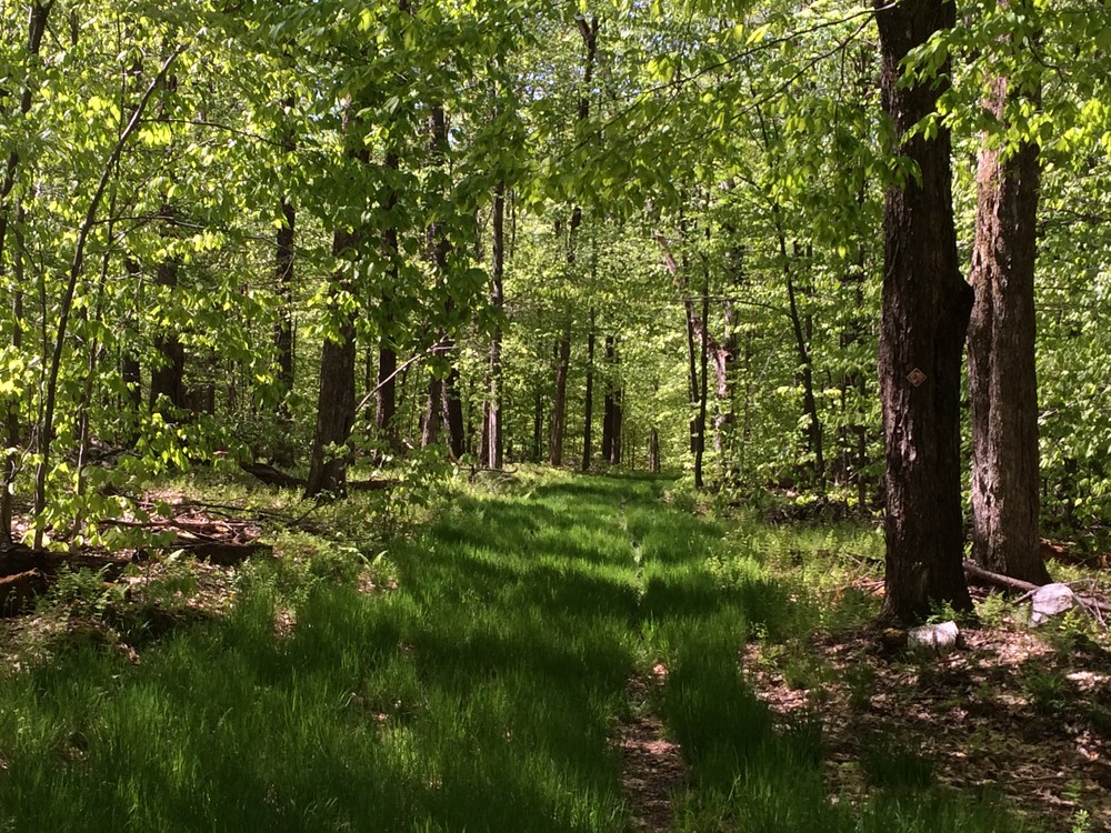 Redfield Trails - Trail Finder