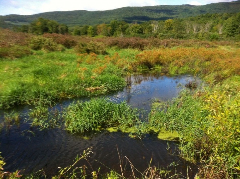 One World Conservation Center - Trail Finder