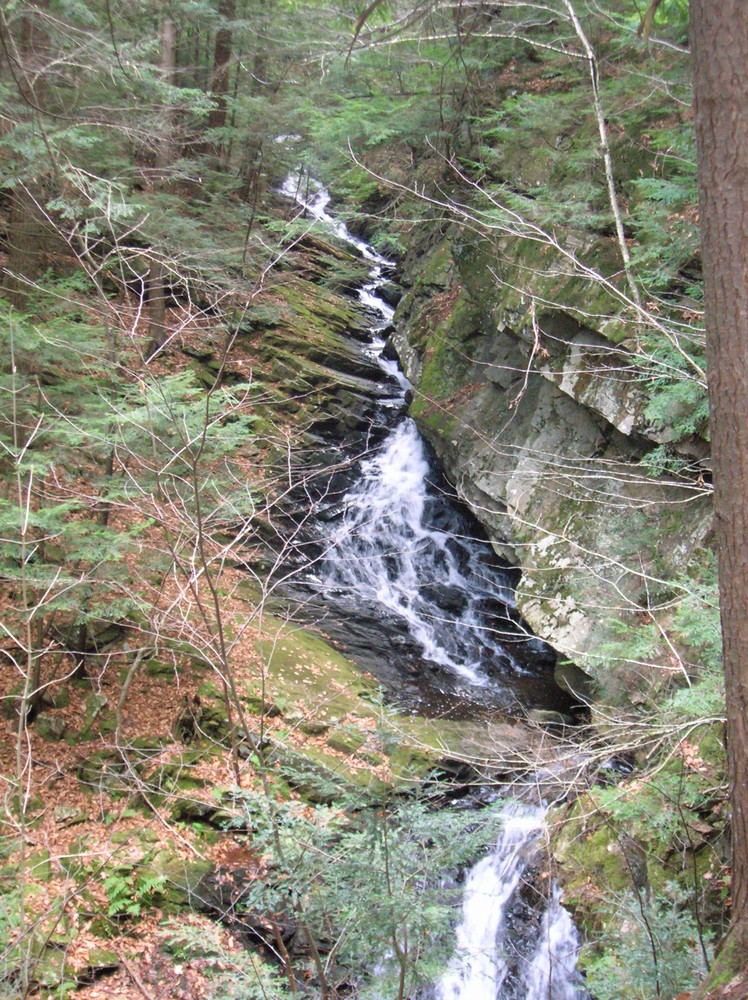 Chesterfield Gorge Natural Area - Trail Finder