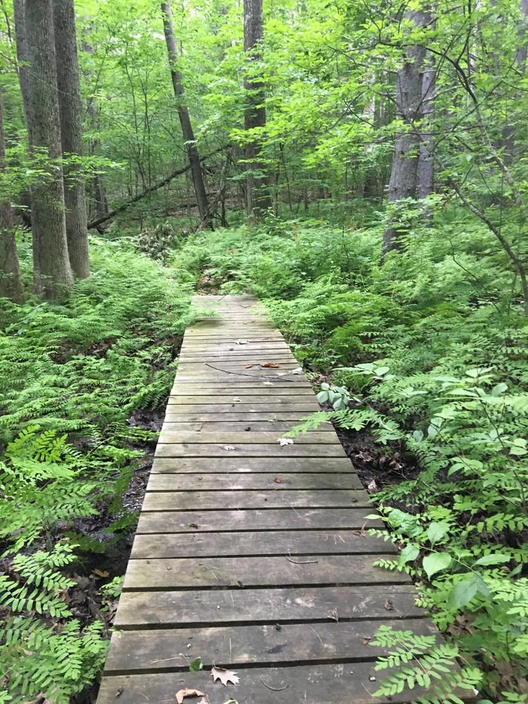 Fox Run Park - Trail Finder