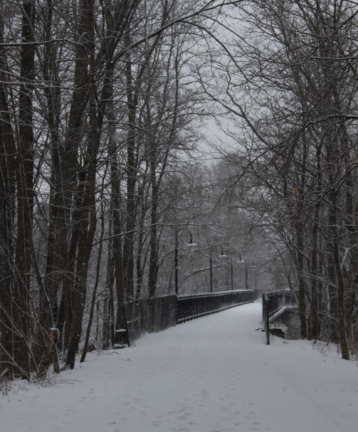 Dover Community Trail - Trail Finder