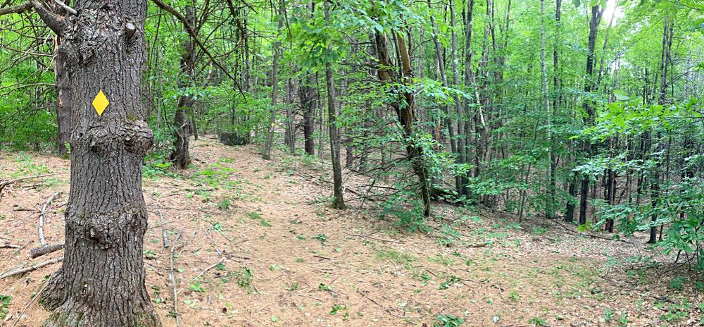 Prospect Hill - Trail Finder