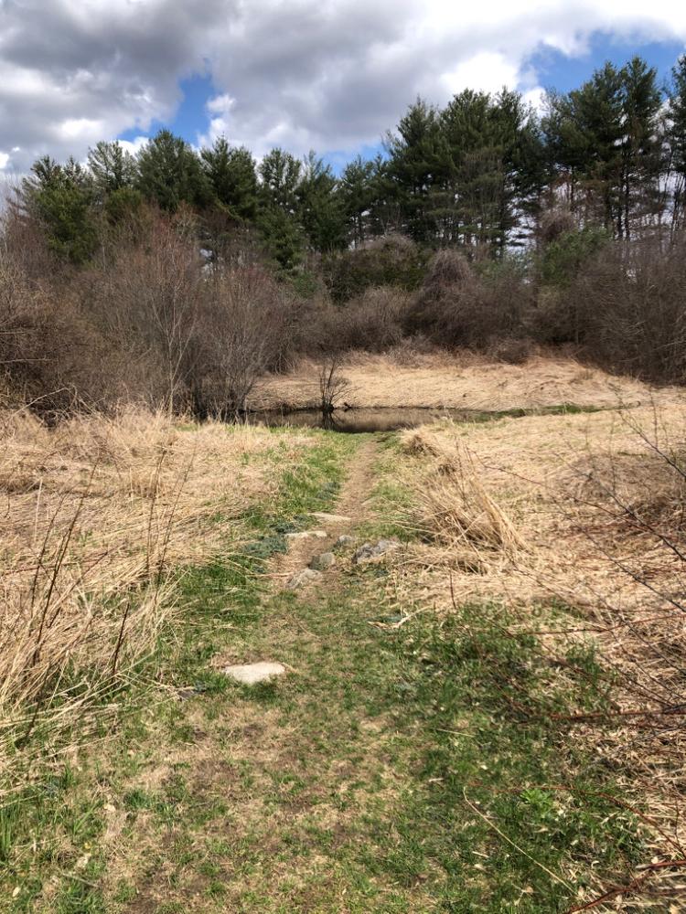 Broadview Farm Conservation Area - Trail Finder