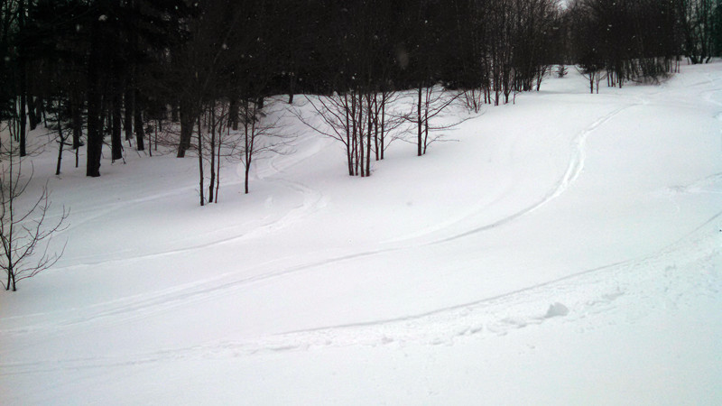 Hogback Mountain Conservation Area - South Side - Trail Finder