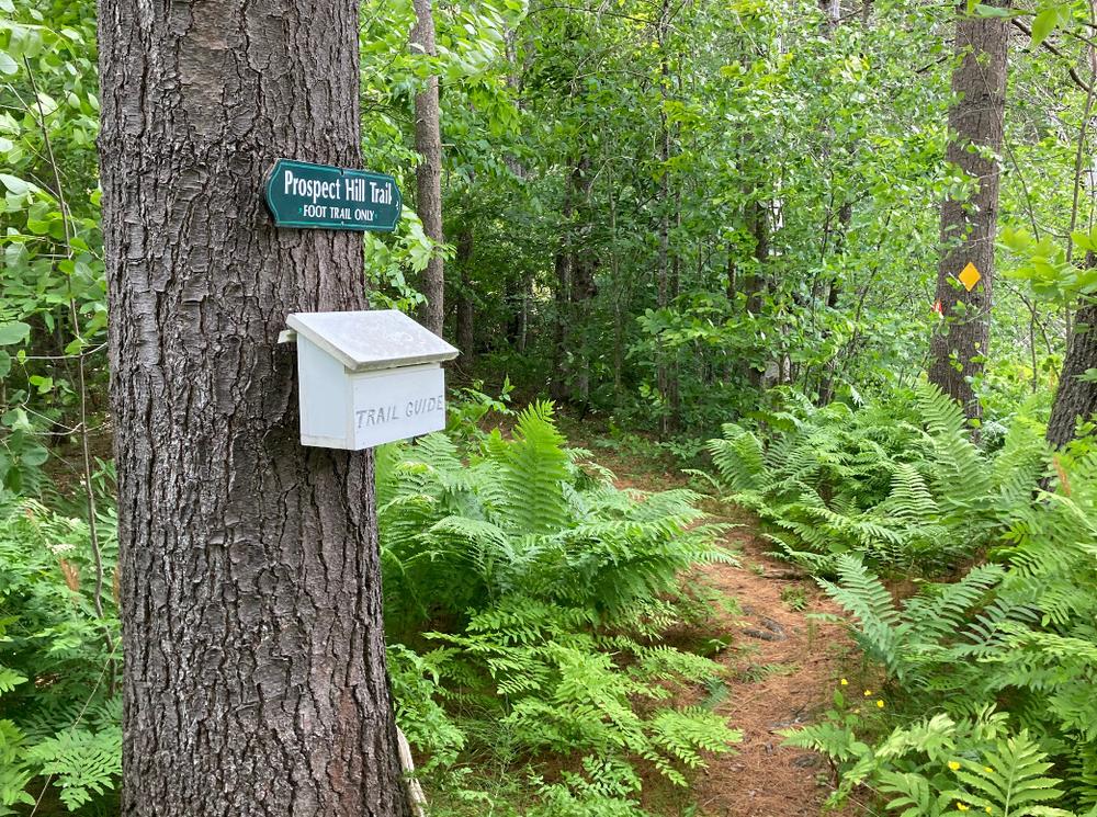 Prospect Hill - Trail Finder