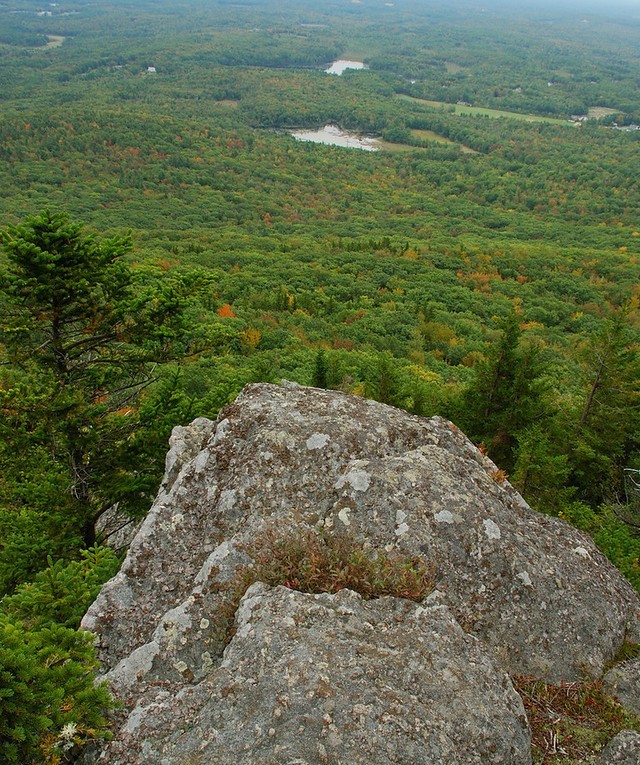Mount Monadnock Hiking Trails - Trail Finder