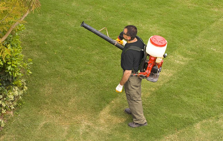 Mosquito Control Phoenix, AZ | Green Home Pest Control