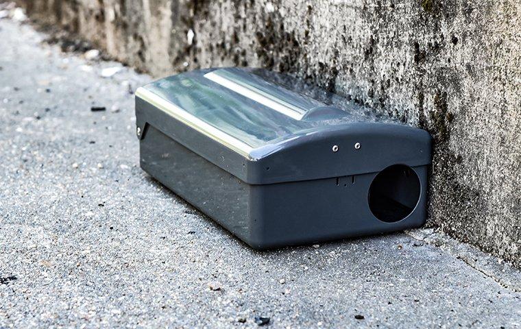 Rodent Control Phoenix, AZ | Green Home Pest Control